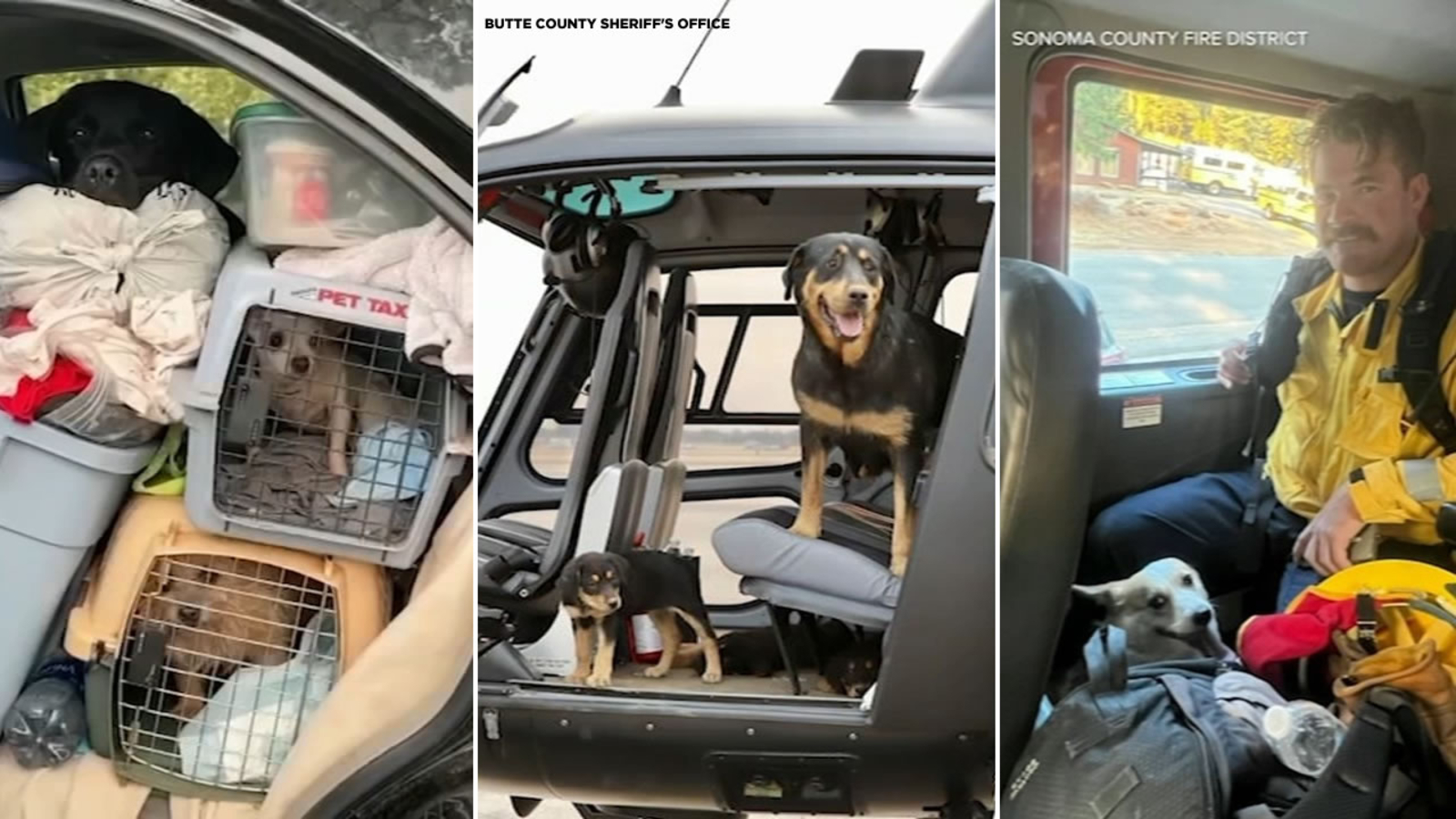 Park Fire: Wildfire burning in Butte and Tehama counties near Chico ...