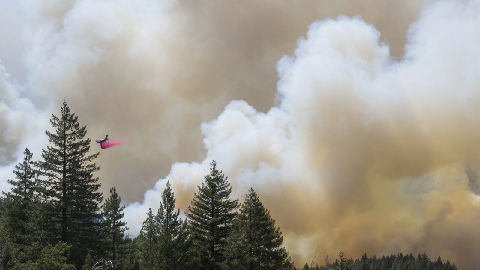 Alzheimer's Association Study: Wildfire smoke linked to dementia risk ...