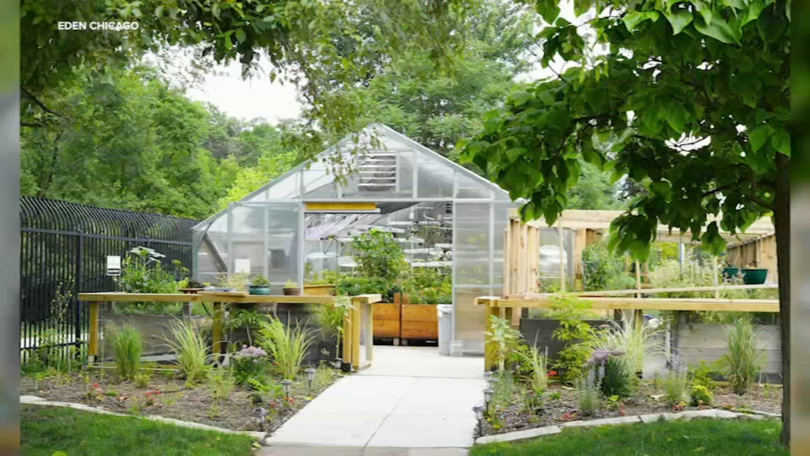 Chicago restaurant Eden in Avondale uses fresh produce from onsite ...