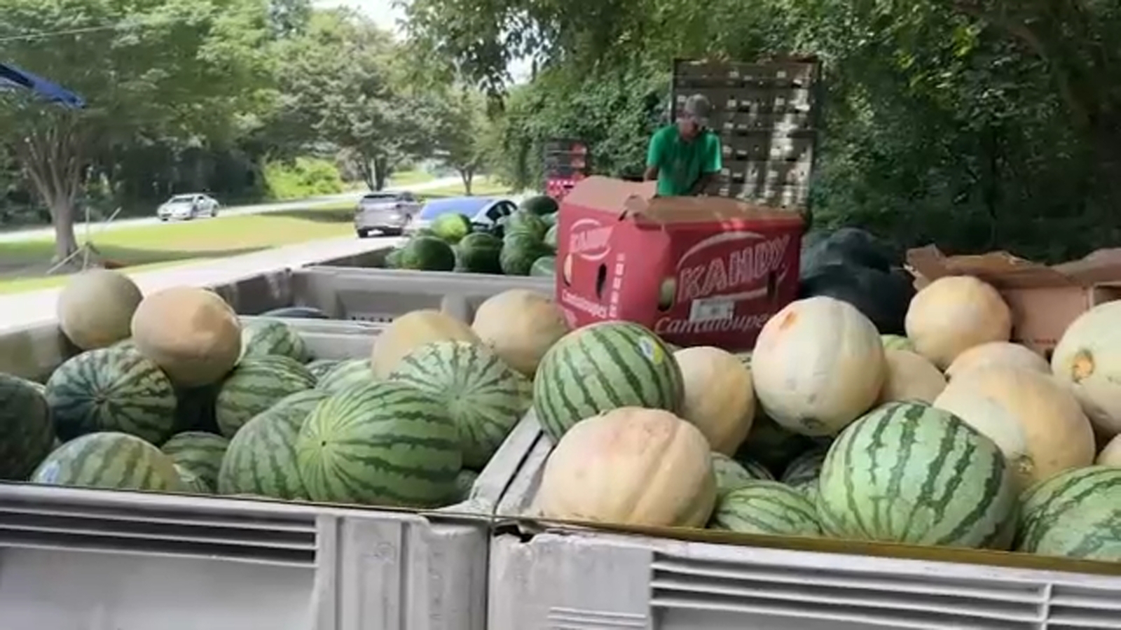Watermelon lady | North Carolina woman goes viral on social media for ...