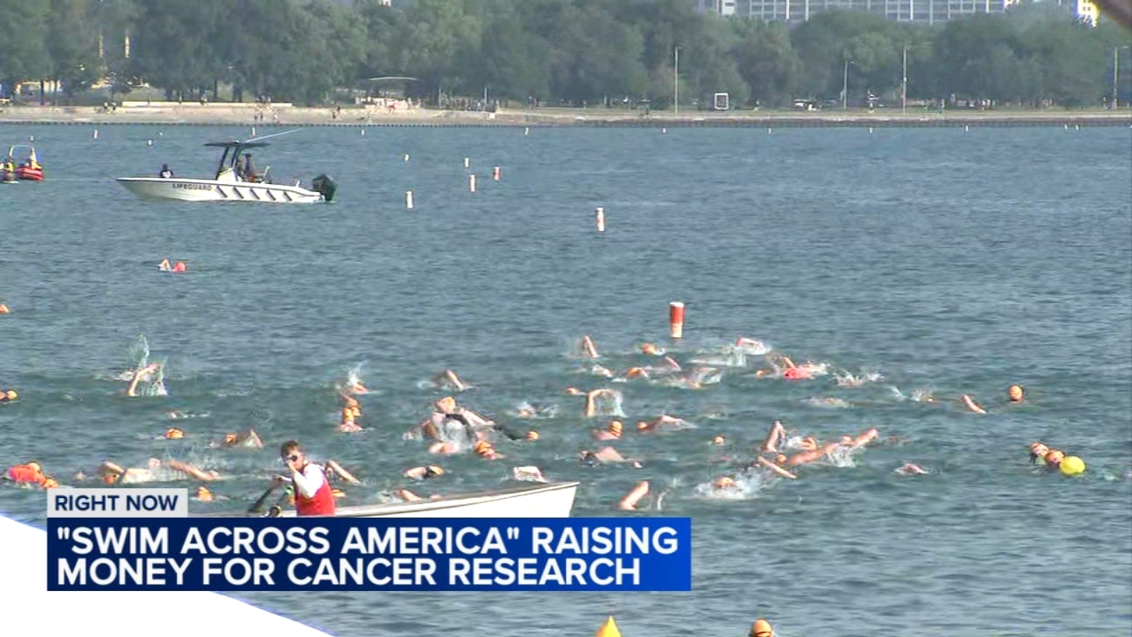 Swim Across America: Swimmers fight cancer with Lake Michigan open swim ...
