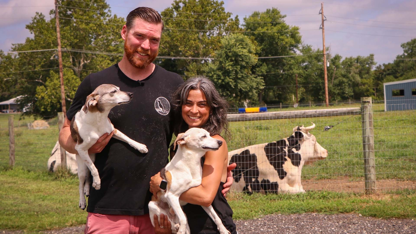 South Jersey couple cares for forgotten farm animals at 'Blackbird ...