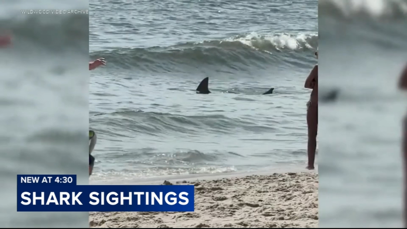 Shark sighting off Cape May Point beach in South Jersey caught on video - 6abc Philadelphia