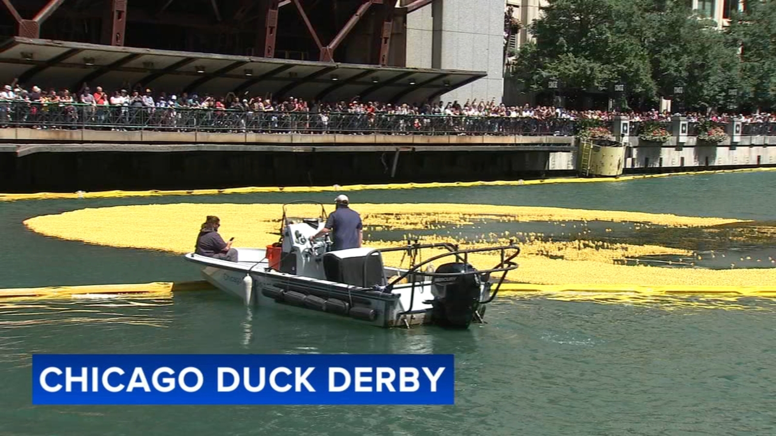 Duck Race Chicago