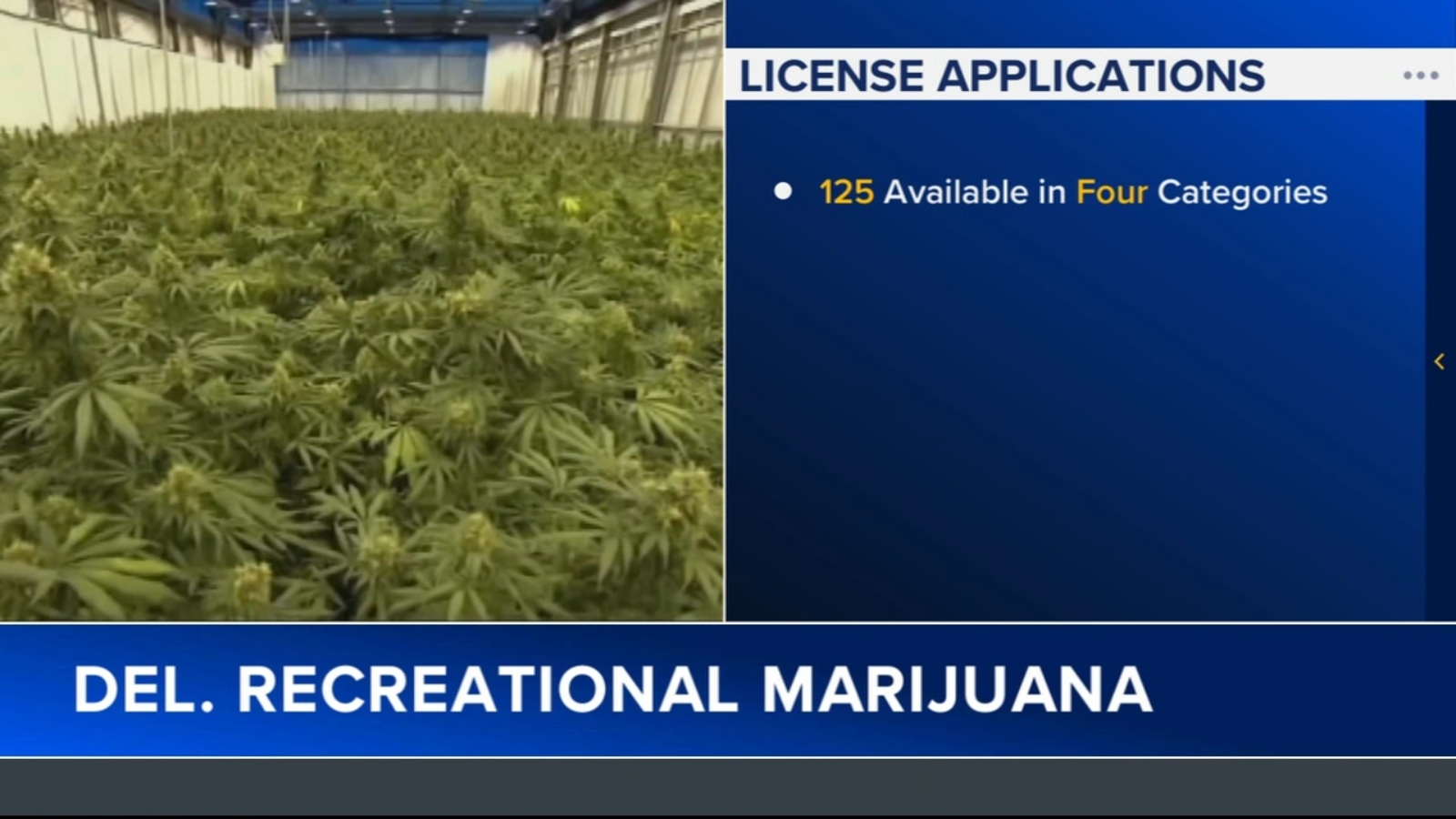 License applications open soon for marijuana business operations in Delaware - 6abc Philadelphia