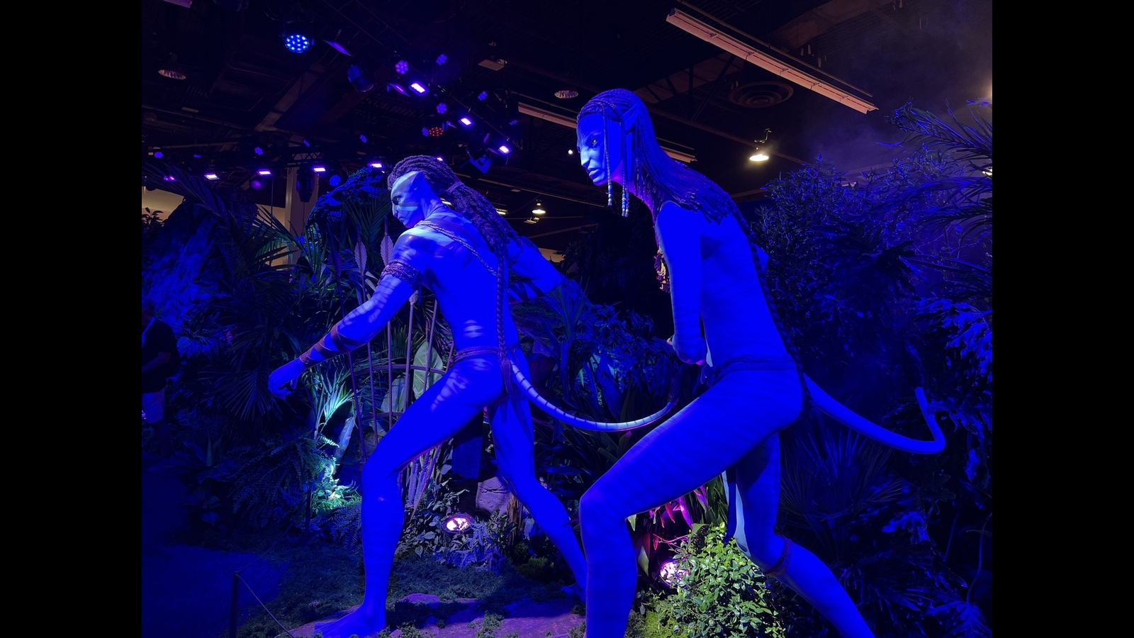 Avatar experience at D23 takes fans into world of Pandora - ABC7 San ...