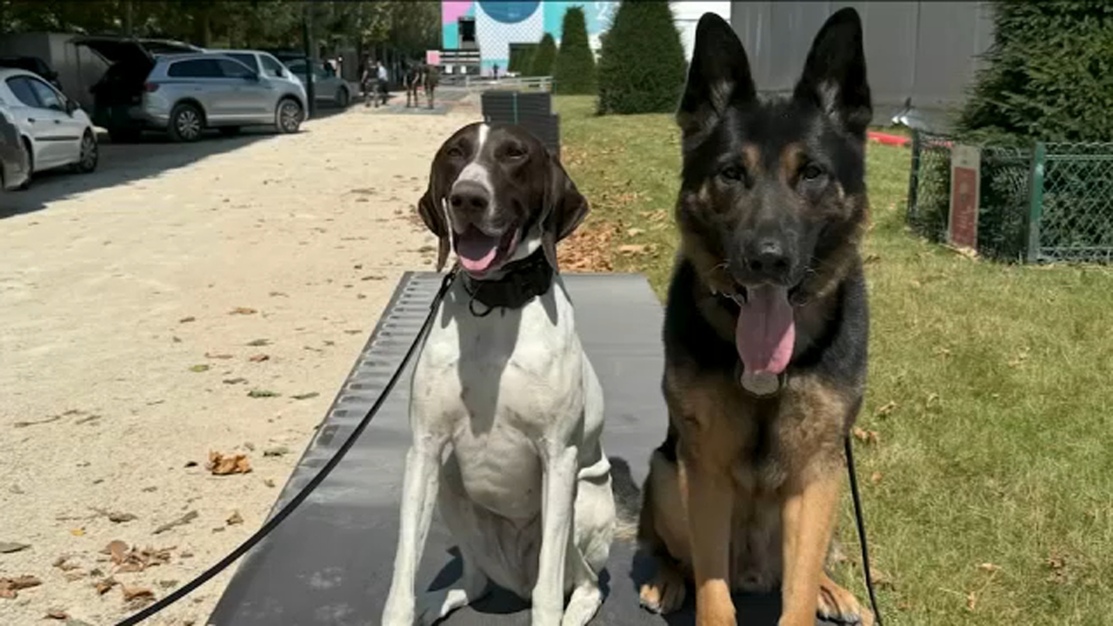 NYPD K9 unit deployed to Paris to assist with Olympics security - ABC7 ...