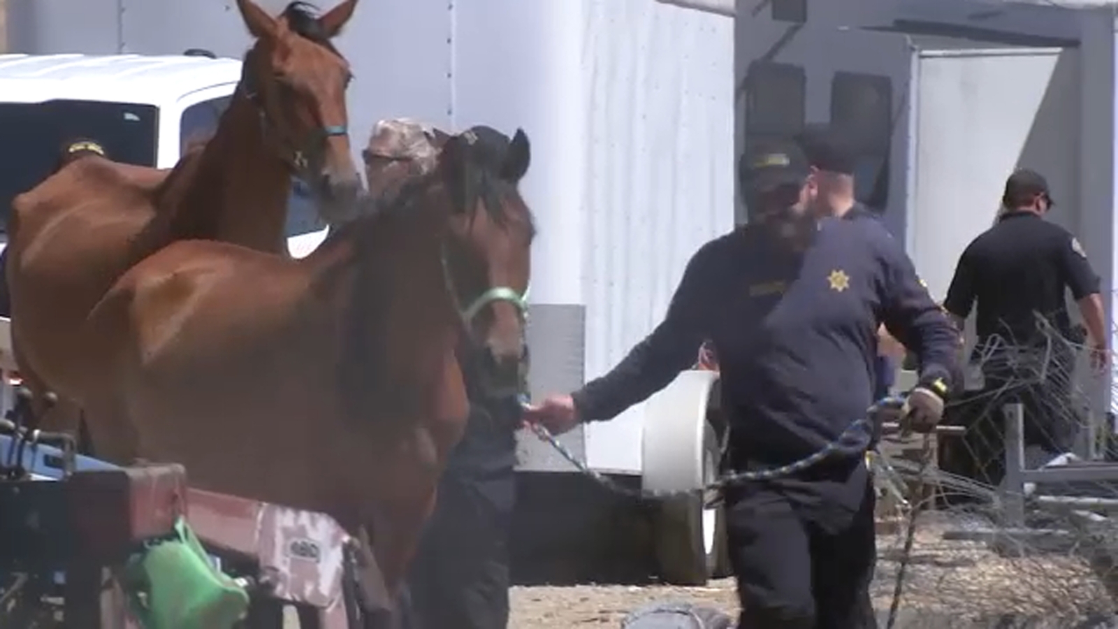 Animal control officers seize dozens of animals in Riverside County ...