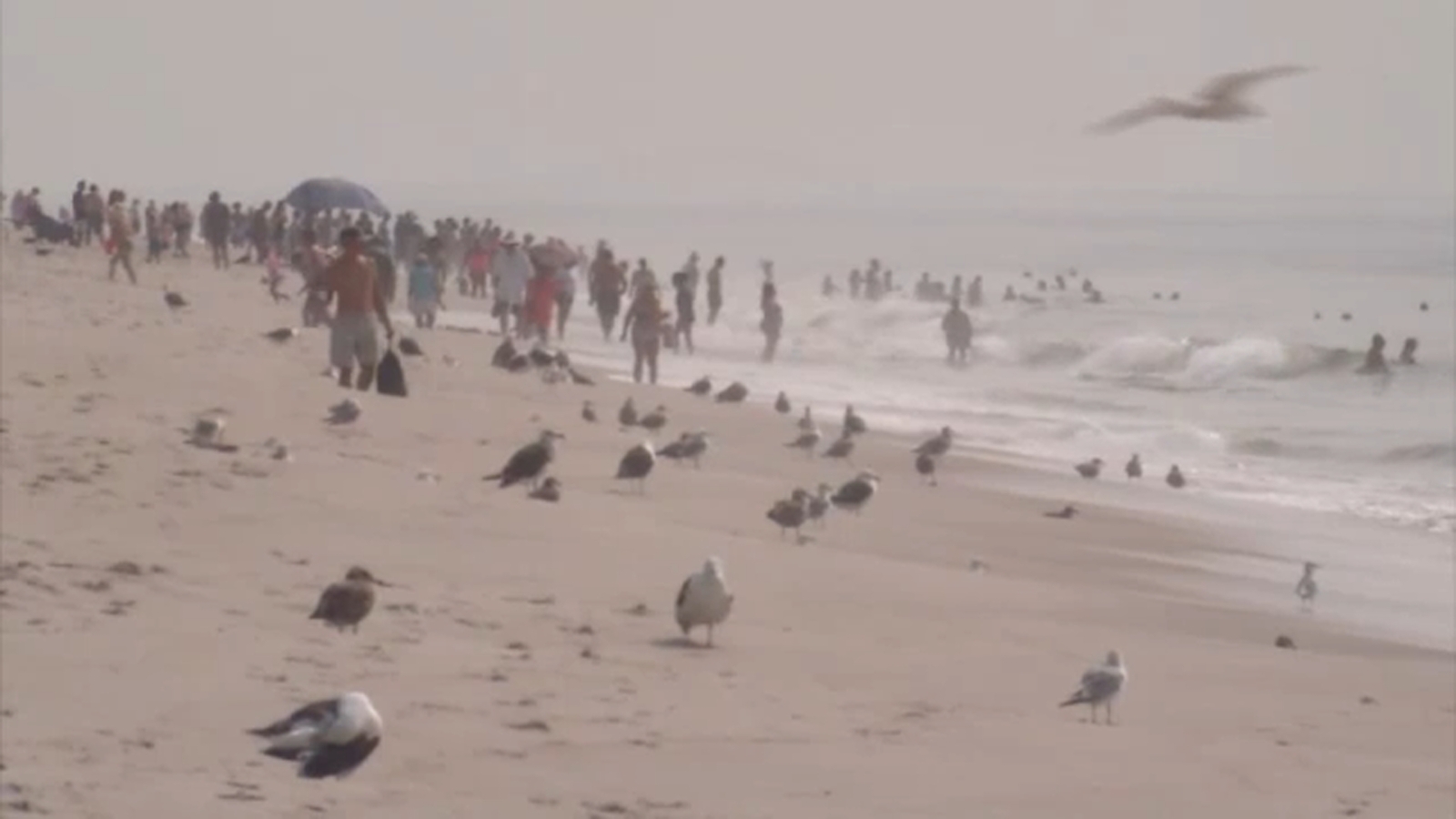 Ernesto impact: NY area beaches prepare for rip current risks as ...