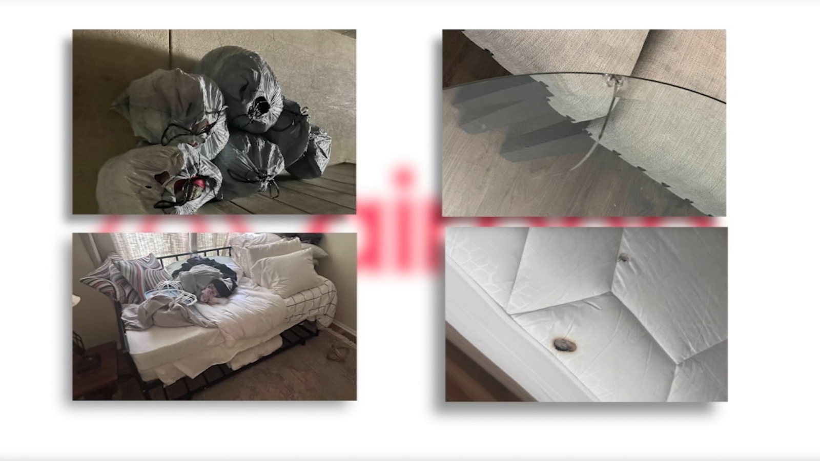 Airbnb problems | Guests who refused to leave finally evicted but ...