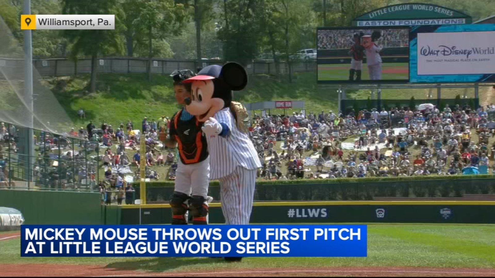 Mickey Mouse throws perfect first pitch at Little League World Series ...