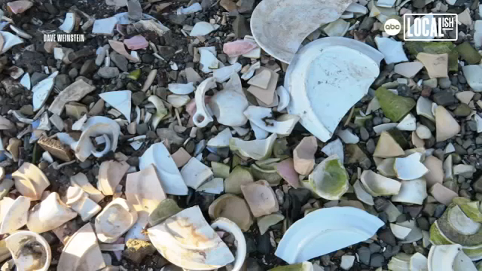 TEPCO Beach: Richmond, California beach is almost entirely covered in ...