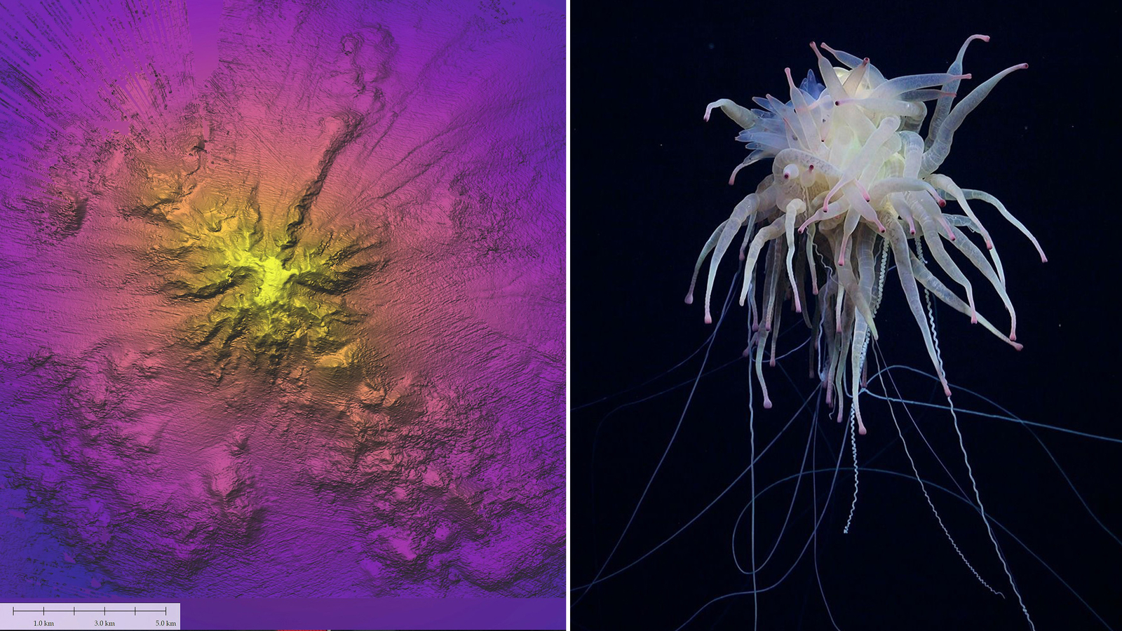 Oceanographers find underwater mountain bigger than Mount Olympus and ...