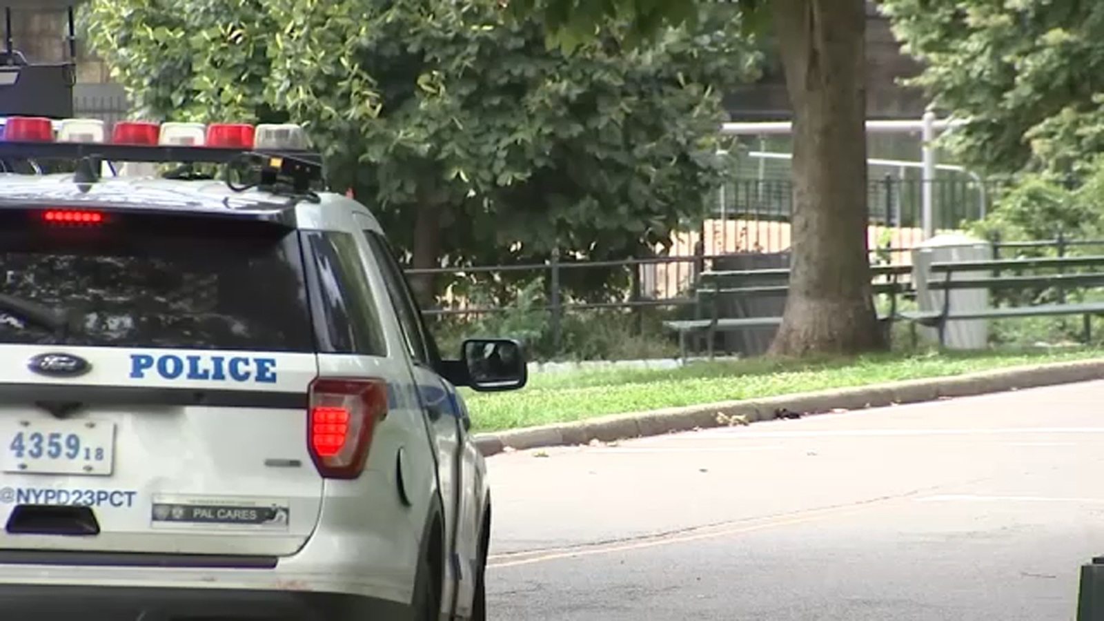 Central Park attack: Woman randomly punched in the face by suspect ...