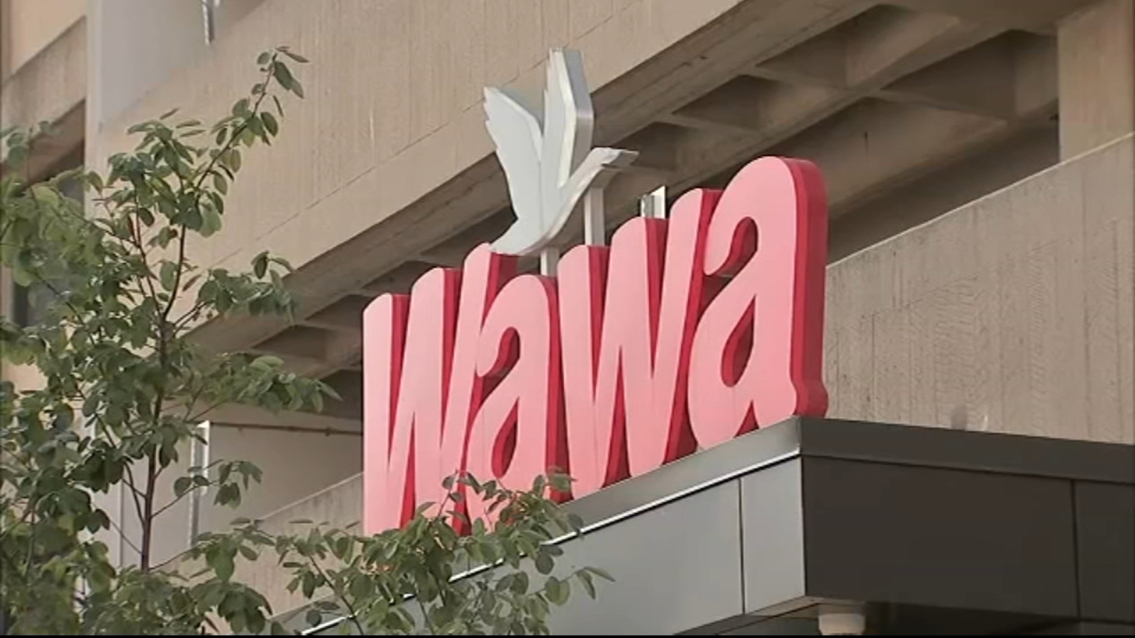 Wawa offering free coffee to teachers in Pennsylvania, New Jersey and ...