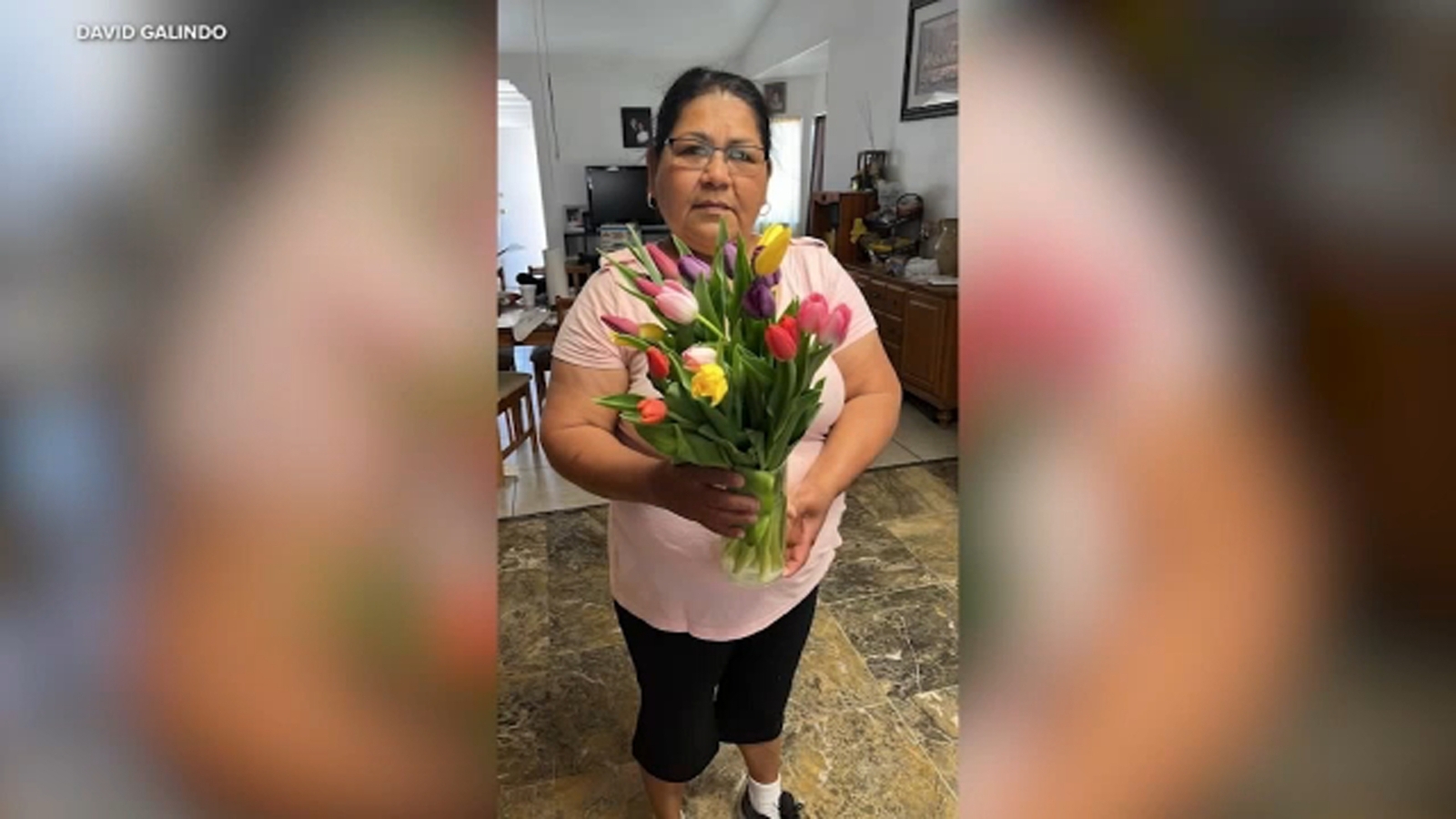 210 Freeway suicide attempt: Margarita Novela Galindo dies after man ...