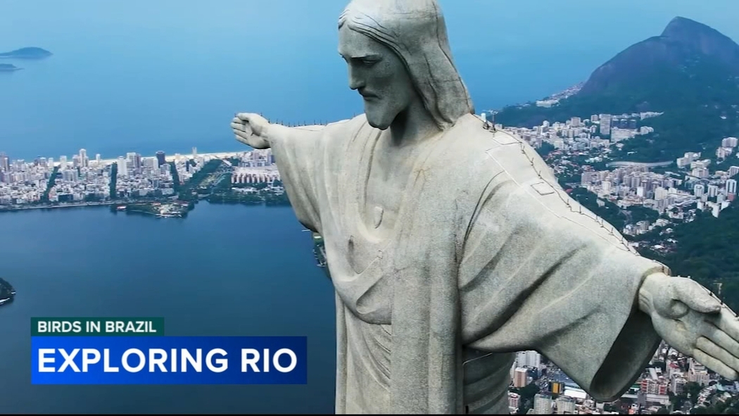 Rio City Statue Christ The Redeemer Lee Abbamonte