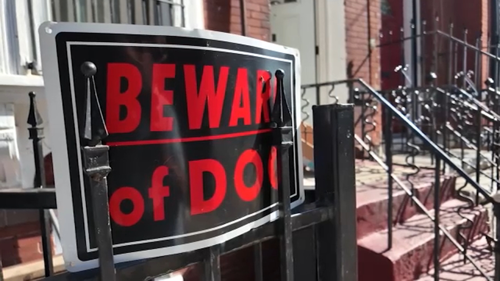 Newark dog attack: 18-month-old girl killed by pit bull in NJ - ABC7 ...