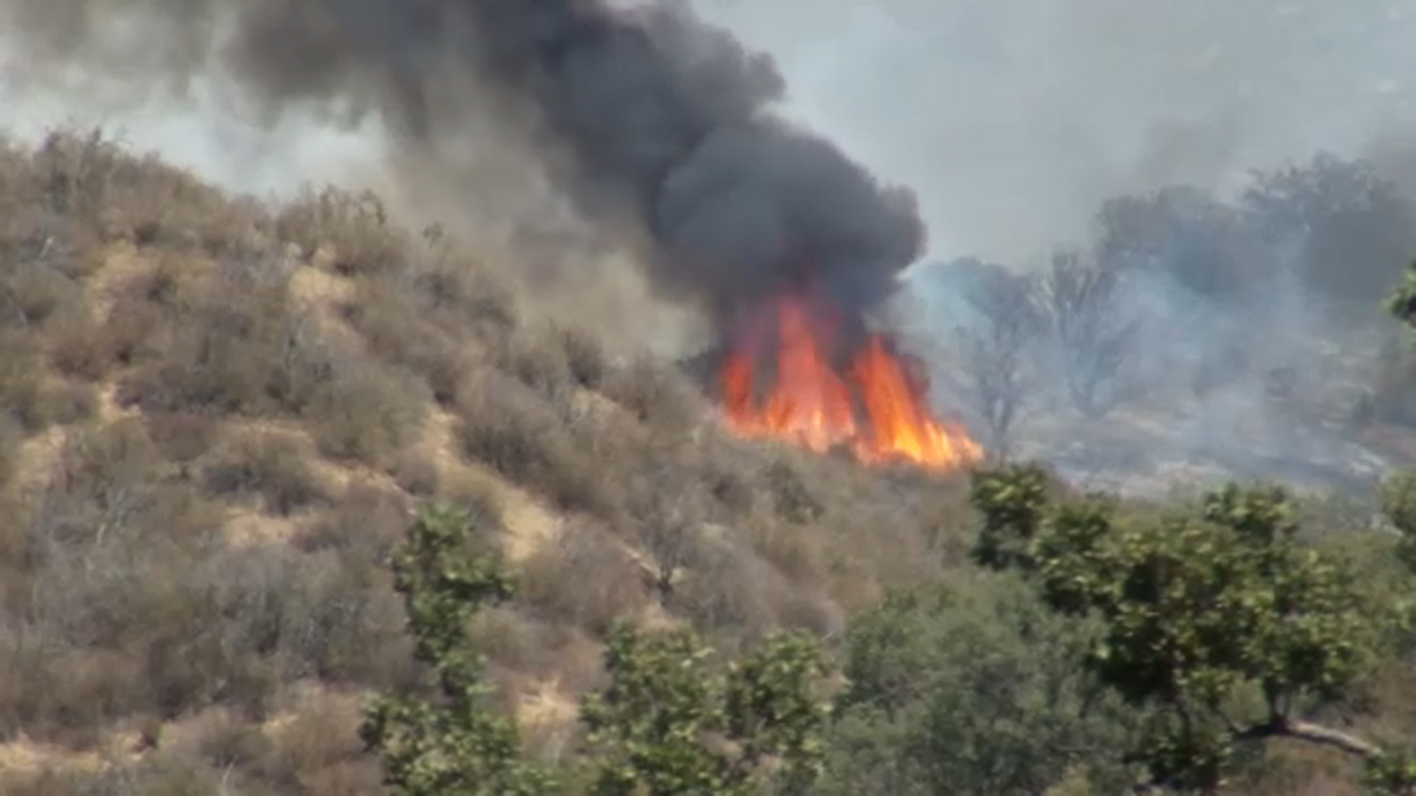 Evacuation orders issued as Boone Fire explodes in size near Coalinga - ABC30 Fresno