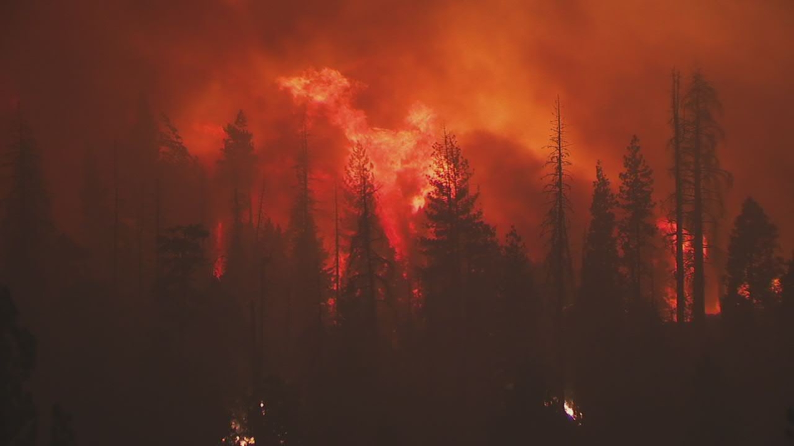 EXCLUSIVE: How a Fresno Fire crew was responsible for saving Big Creek during the Creek Fire ...
