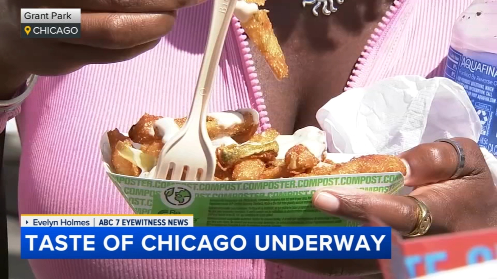 Taste of Chicago 2024: Food festival returns to Grant Park will full ...