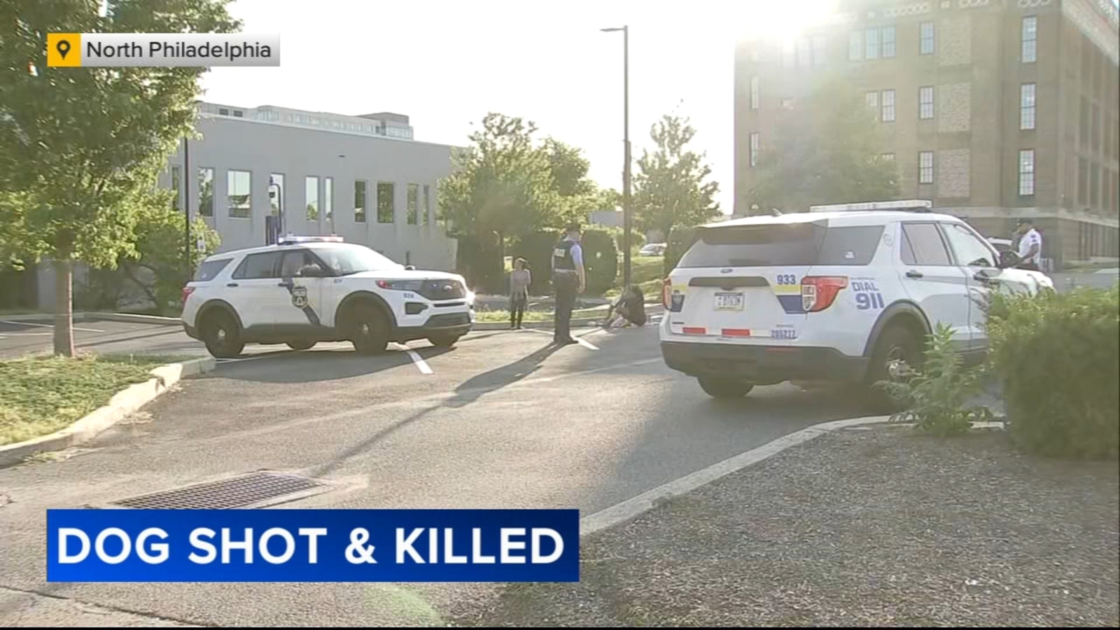 Philadelphia police investigating after pit bull shot, killed while on ...