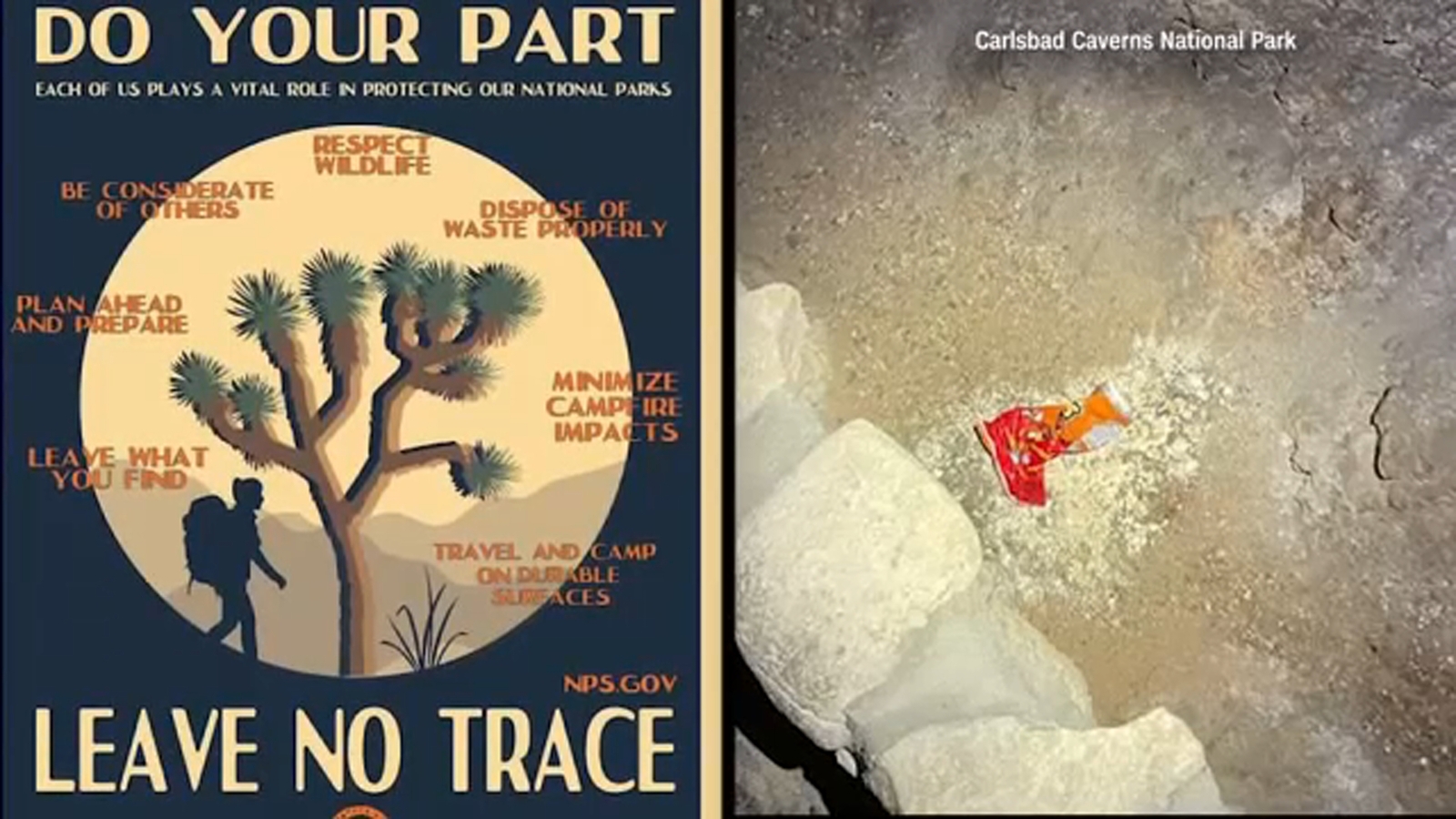 Carlsbad Caverns National Park National Park calls out 'world changing ...