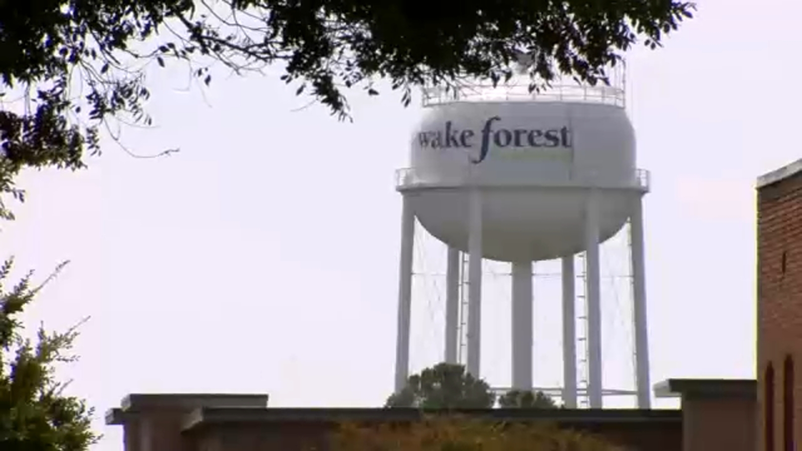 Former Wake Forest Chamber President Elizabeth Simpers charged with 4 ...