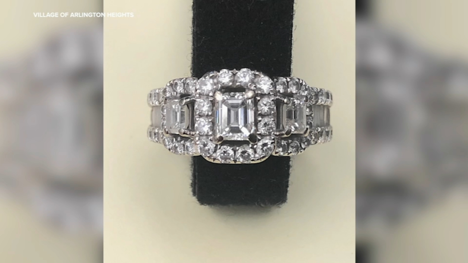 Village of Arlington Heights, Illinois looking for owner of lost ...