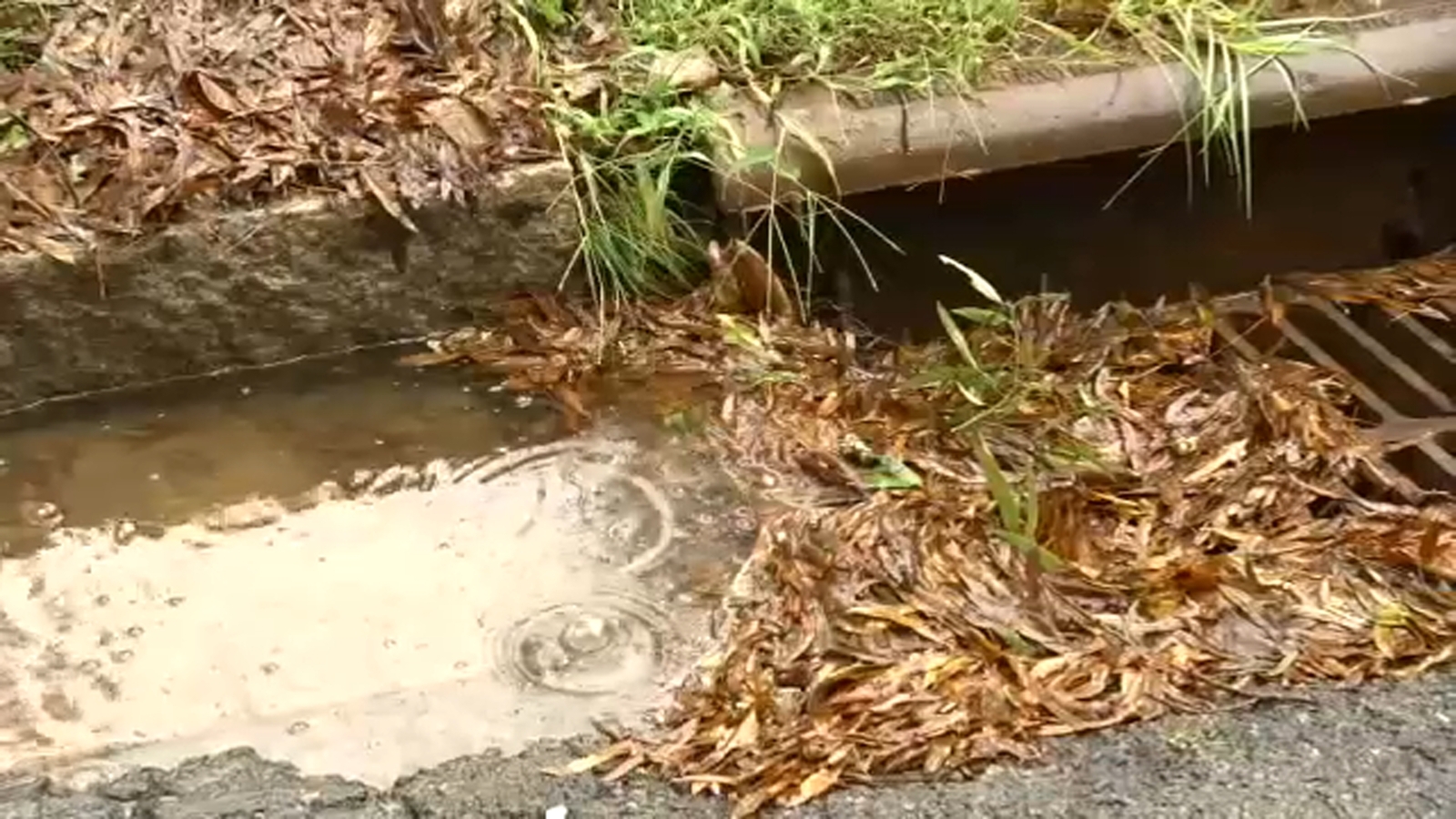 NC weather | Heavy rain, gusty winds to move across central North ...