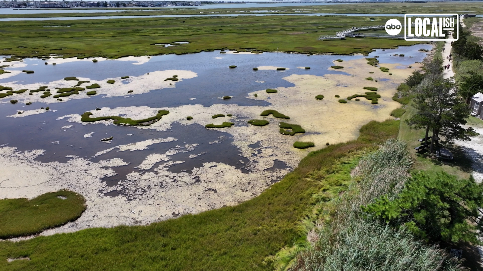 The Wetlands Institute: Preserving and Protecting the Wetlands and ...