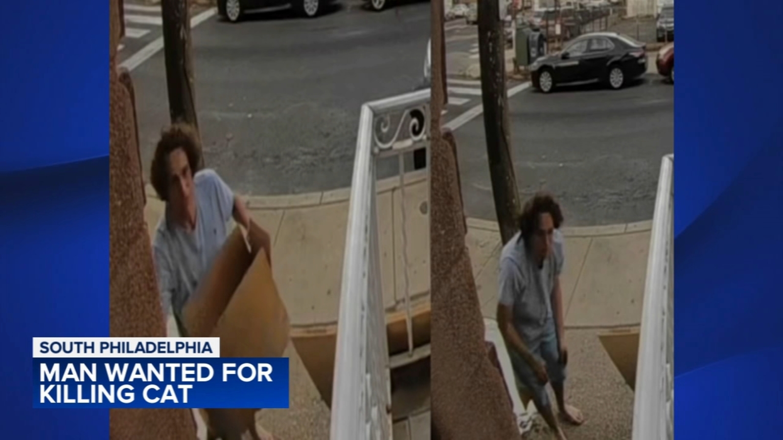 Philadelphia police searching for alleged cat killer on Ritner Street ...