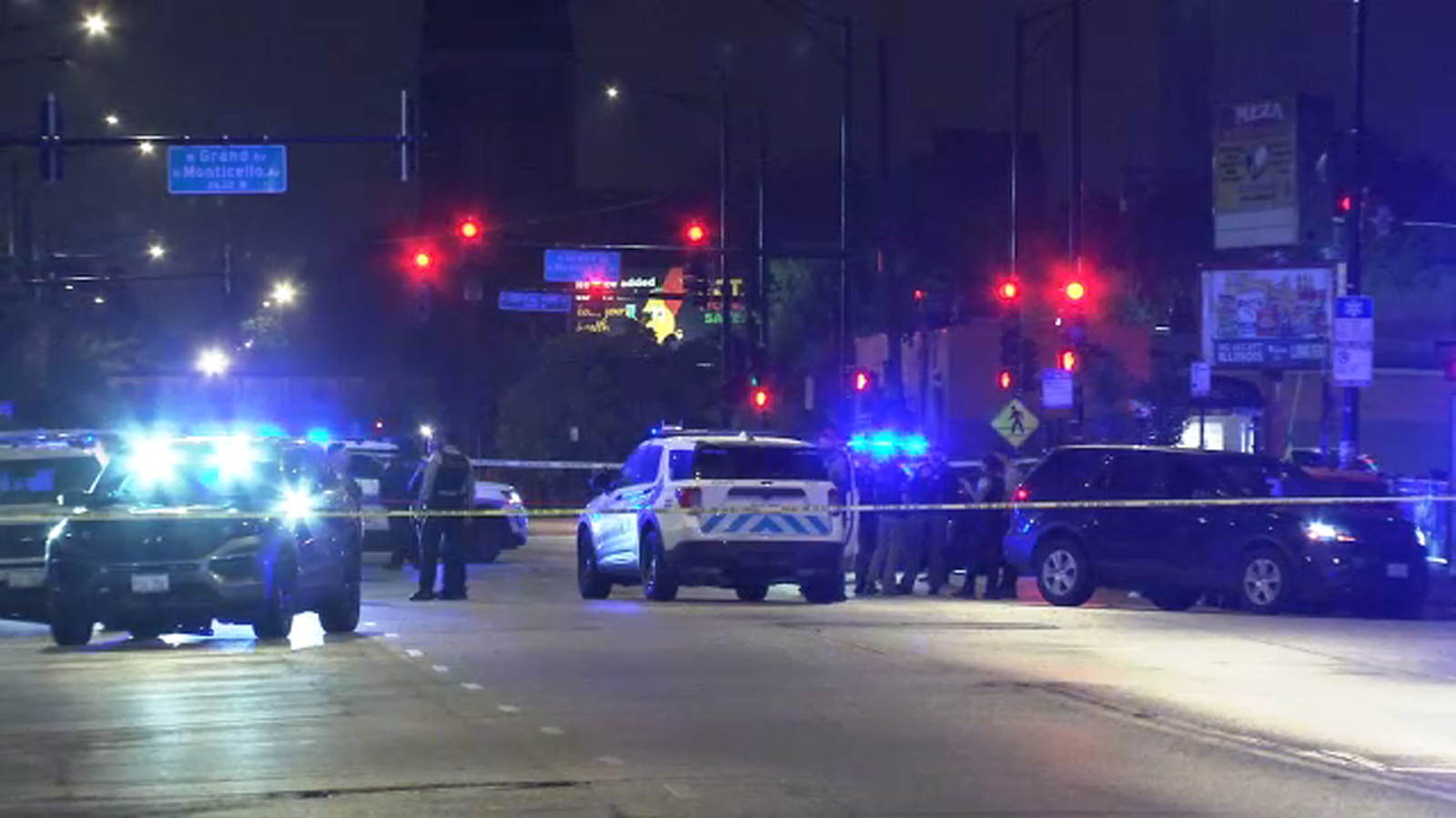 Chicago police officer shoots 'aggressive' dog in Humboldt Park near ...