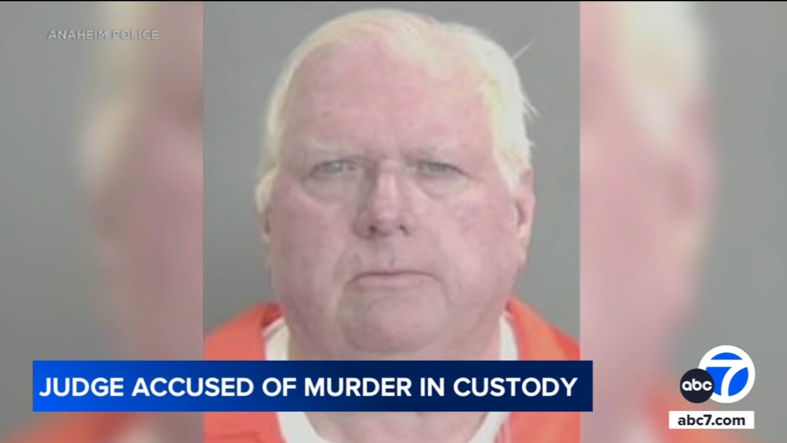 Orange County Judge Jeffrey Ferguson taken into custody, accused of ...