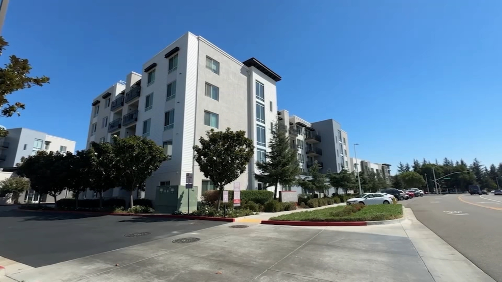 Pleasanton dog death: Owner explains how dog was on apartment balcony ...