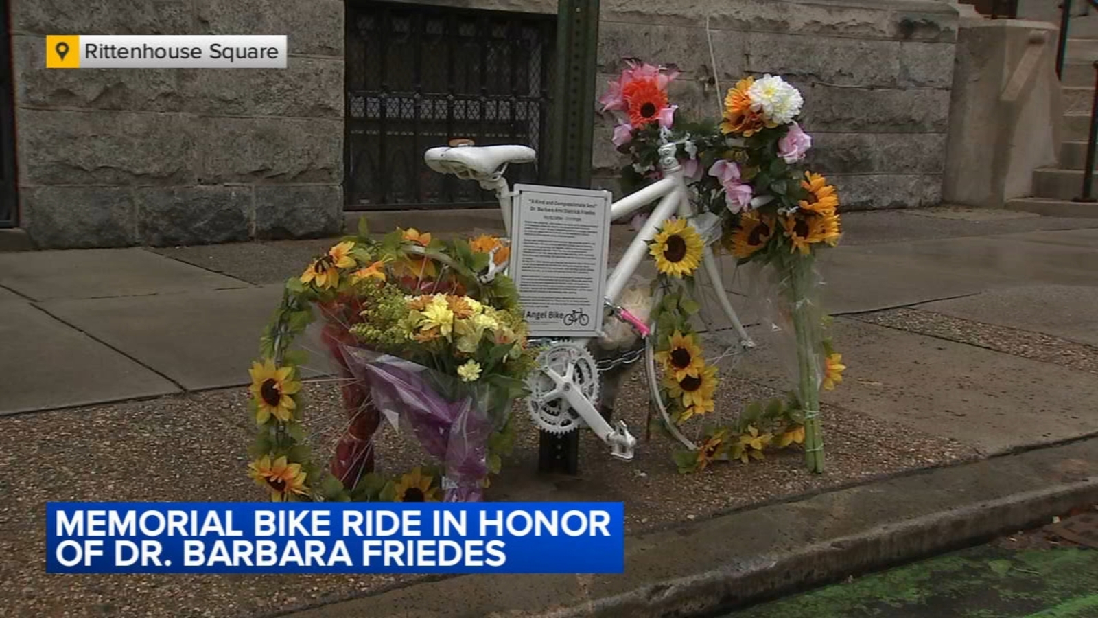 Family of CHOP doctor Barbara Friedes, killed while riding bike in ...