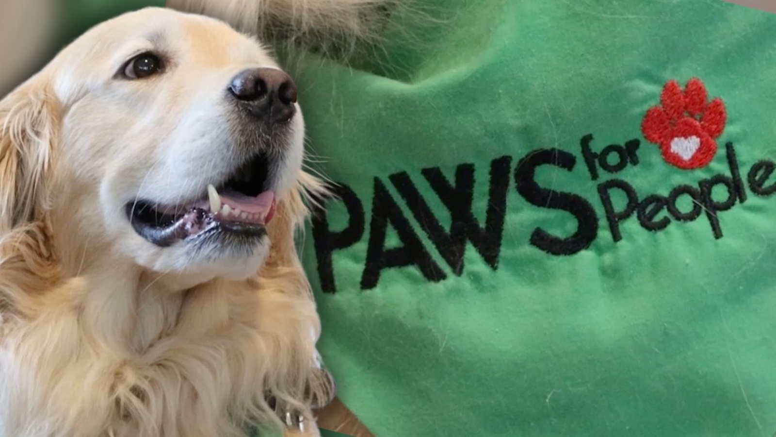 Delaware nonprofit 'PAWS for People' is a treat for community members ...