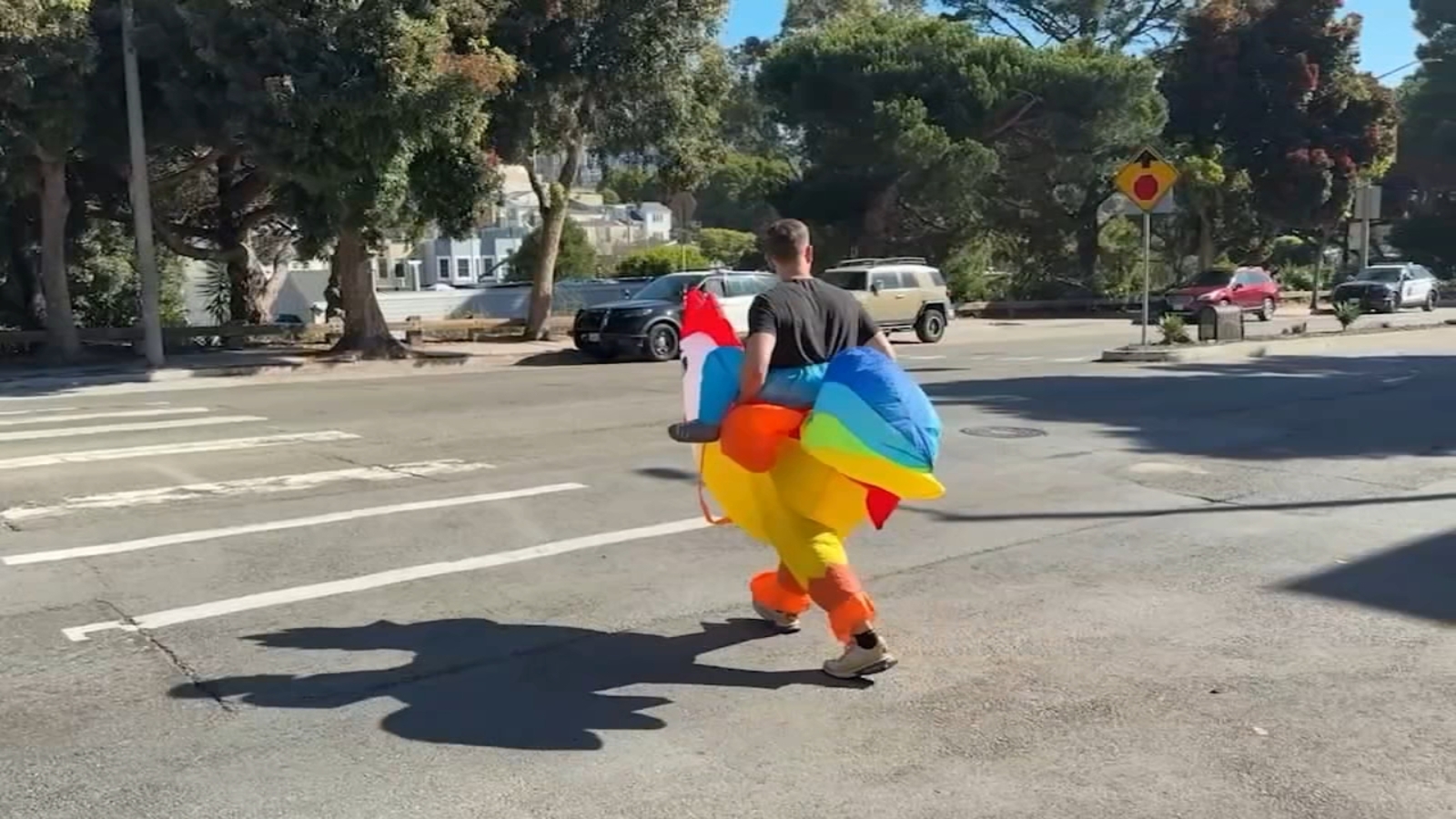 SFPD officer wears chicken costume as decoy to ticket drivers, bring ...
