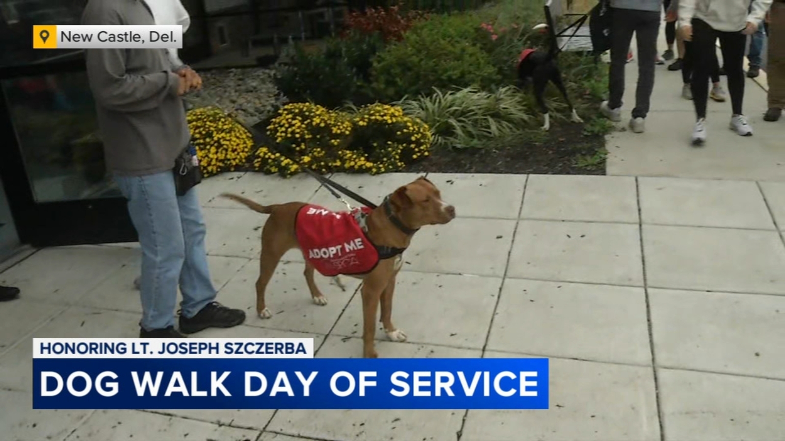 New Castle County police spend time with adoptable dogs in honor of ...