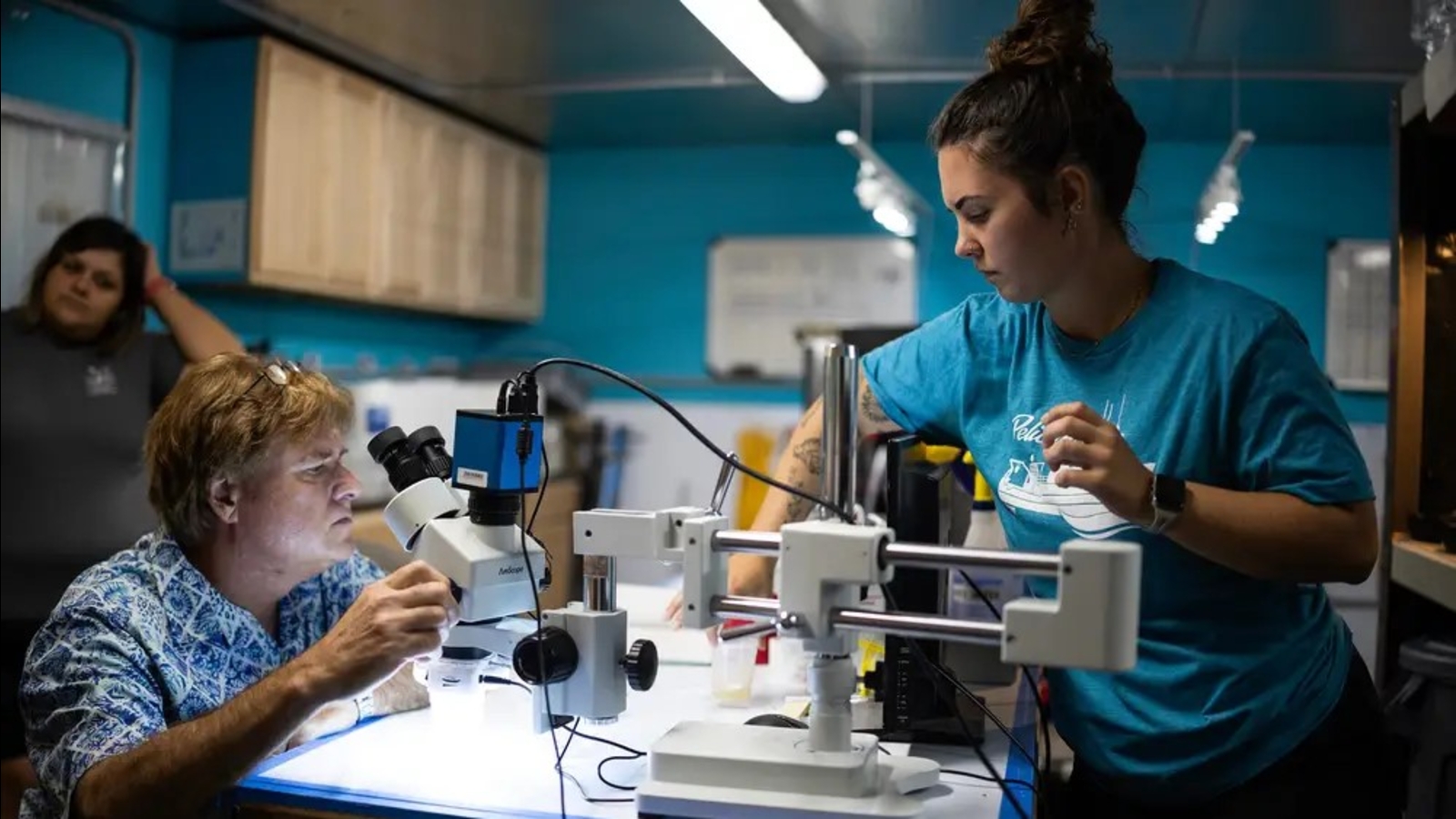 Texas scientists work to restore the Gulf's deep-sea coral 14 years ...