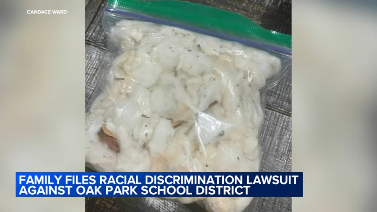 Federal racial discrimination lawsuit alleges Percy Julian Middle ...
