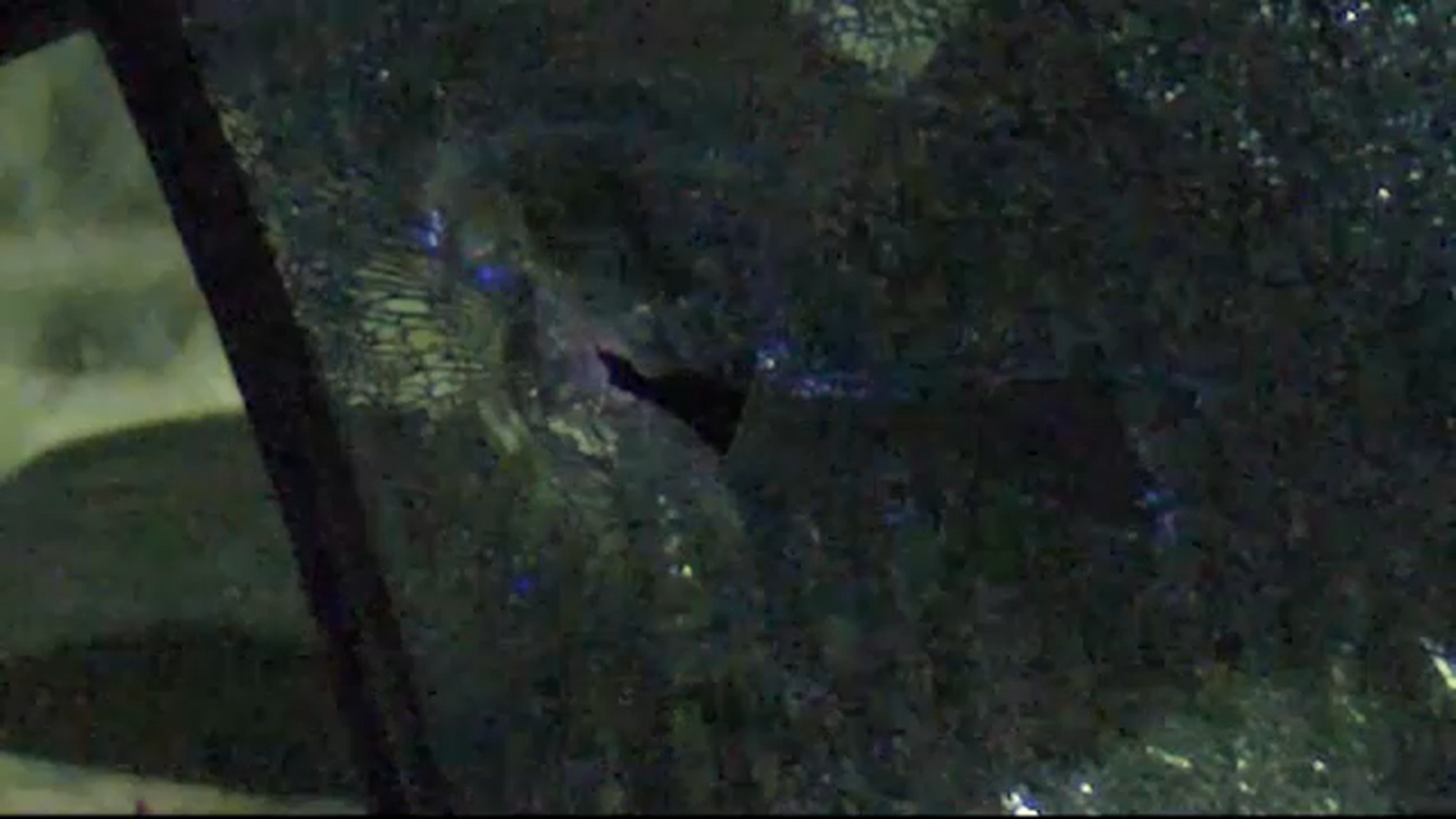 Man killed in neighborhood shootout between 2 groups of people on ...