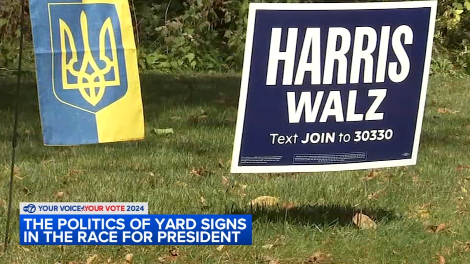 Yard signs supporting Kamala Harris, Donald Trump indicate change in ...