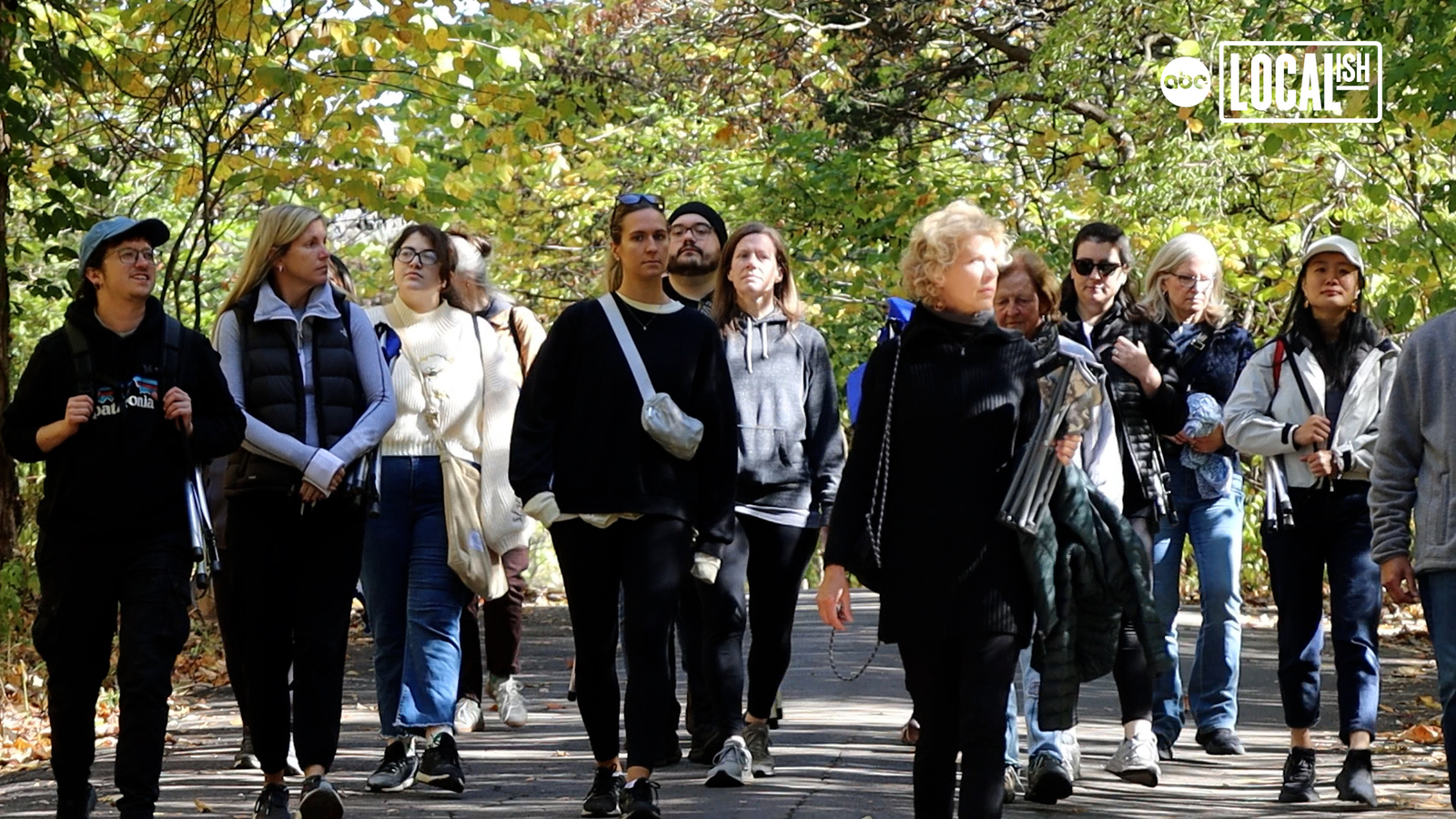 Forest Bathing is the practice of immersing yourself in nature for ...