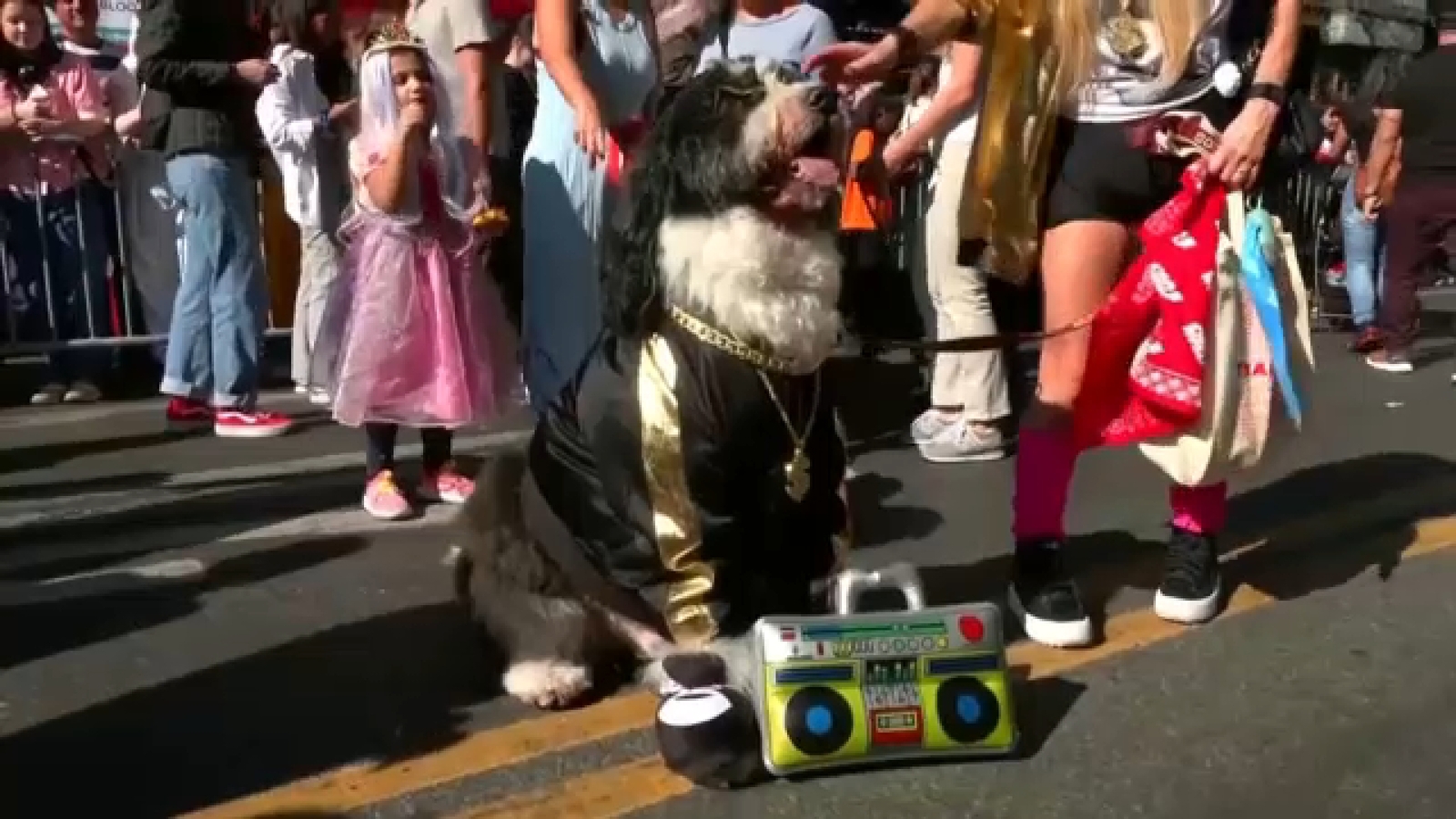 2024 Halloween Dog Parade returns to Tompkins Square - ABC7 New York