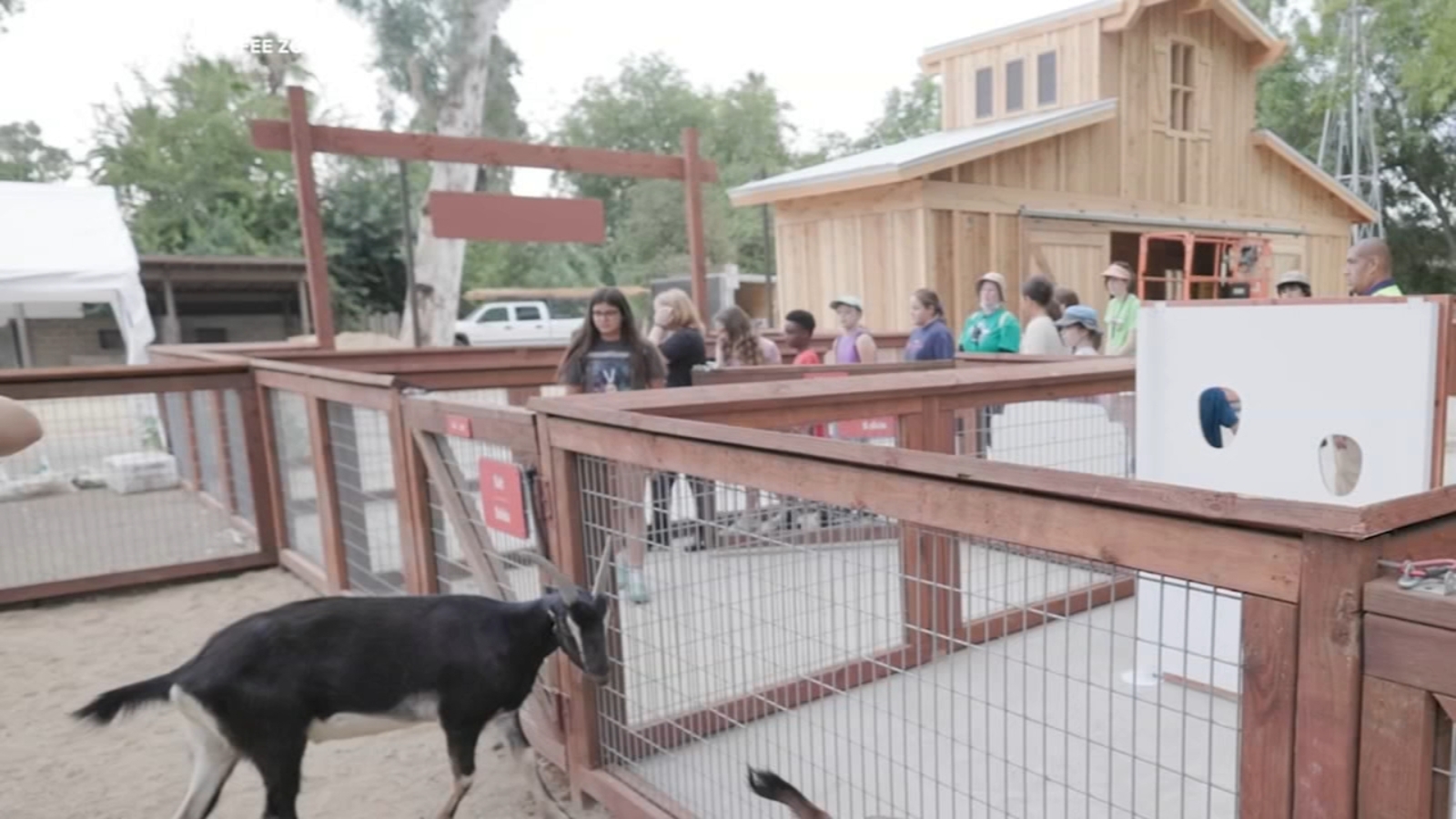 Fresno Chaffee Zoo awarded $2,500 grant from Aaron Judge All Rise ...
