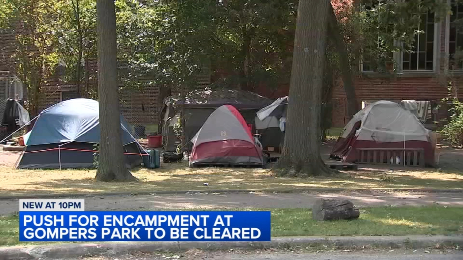 Chicago groups urge Mayor Brandon Johnson to take action on clearing ...