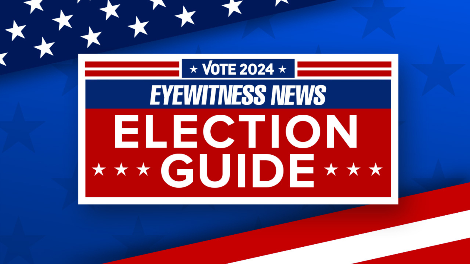 Eyewitness News Election Guide: What to know before you vote in 2024 ...