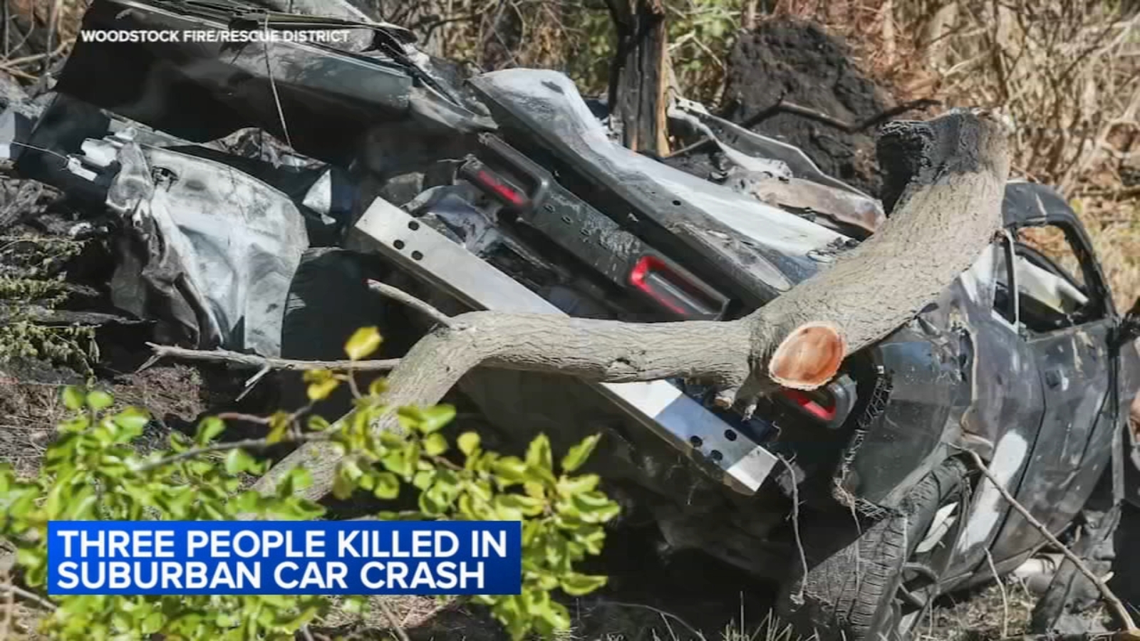 Woodstock car crash: Woman killed identified as Amy Roeder, educator at ...