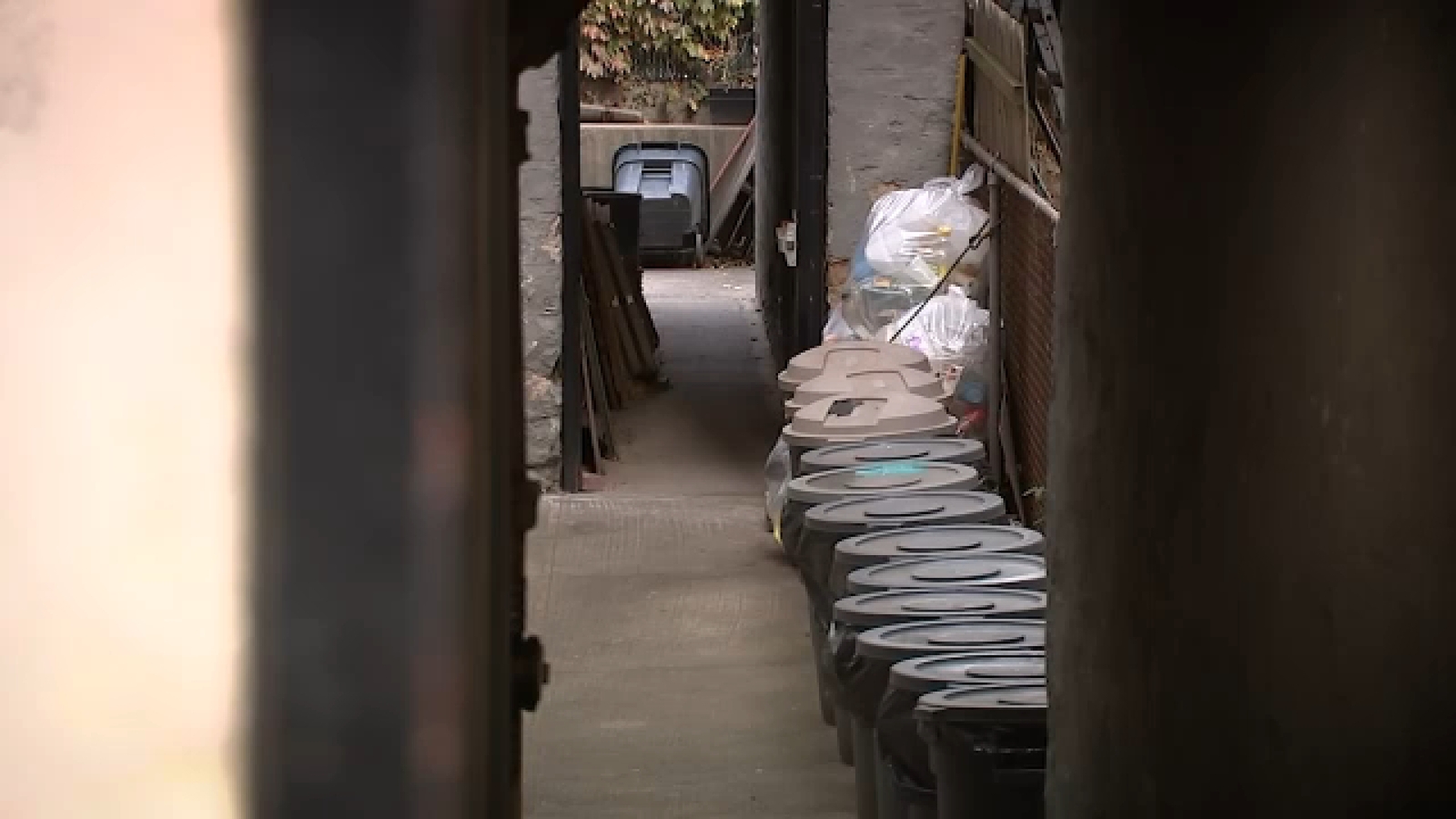 Bronx newborn death: 14-year-old mother reportedly threw baby outside ...